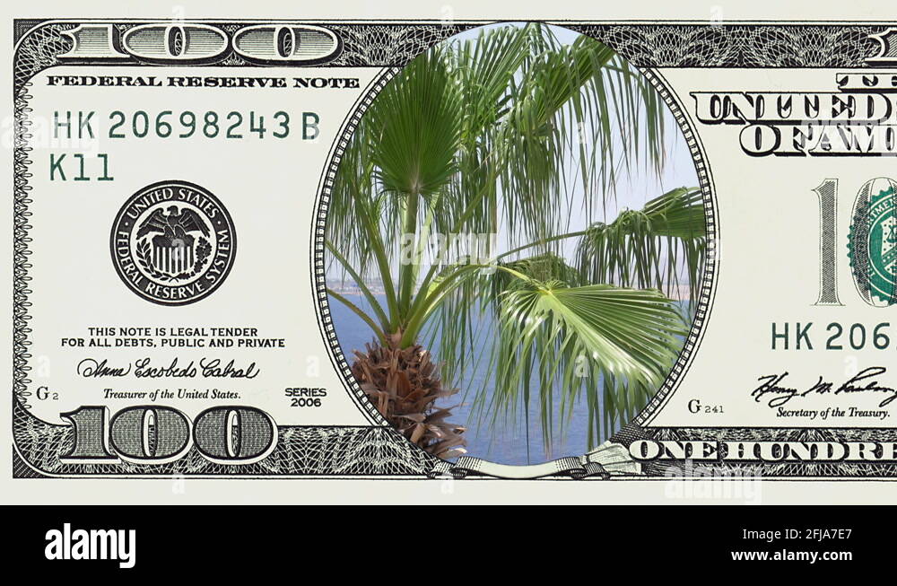 Palm dollar bill Stock Videos & Footage - HD and 4K Video Clips - Alamy