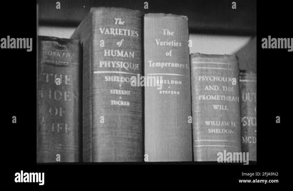 Physique Stock Videos & Footage - HD and 4K Video Clips - Alamy