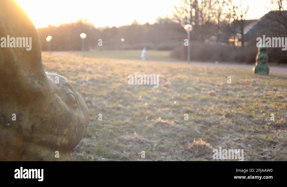 Bunny back Stock Videos & Footage - HD and 4K Video Clips - Alamy