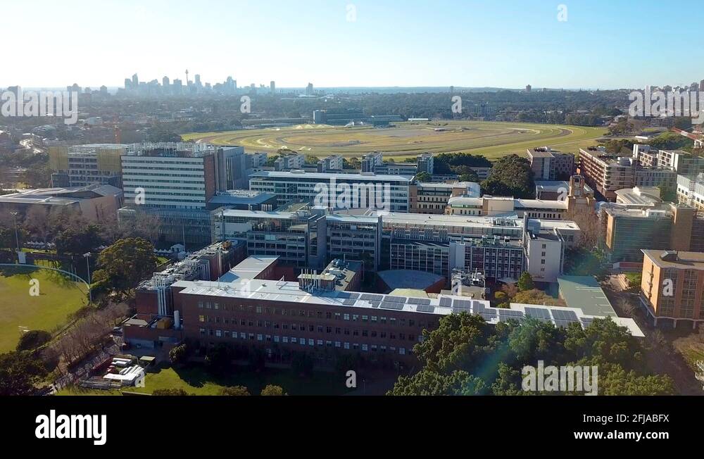 Randwick library Stock Videos & Footage - HD and 4K Video Clips - Alamy
