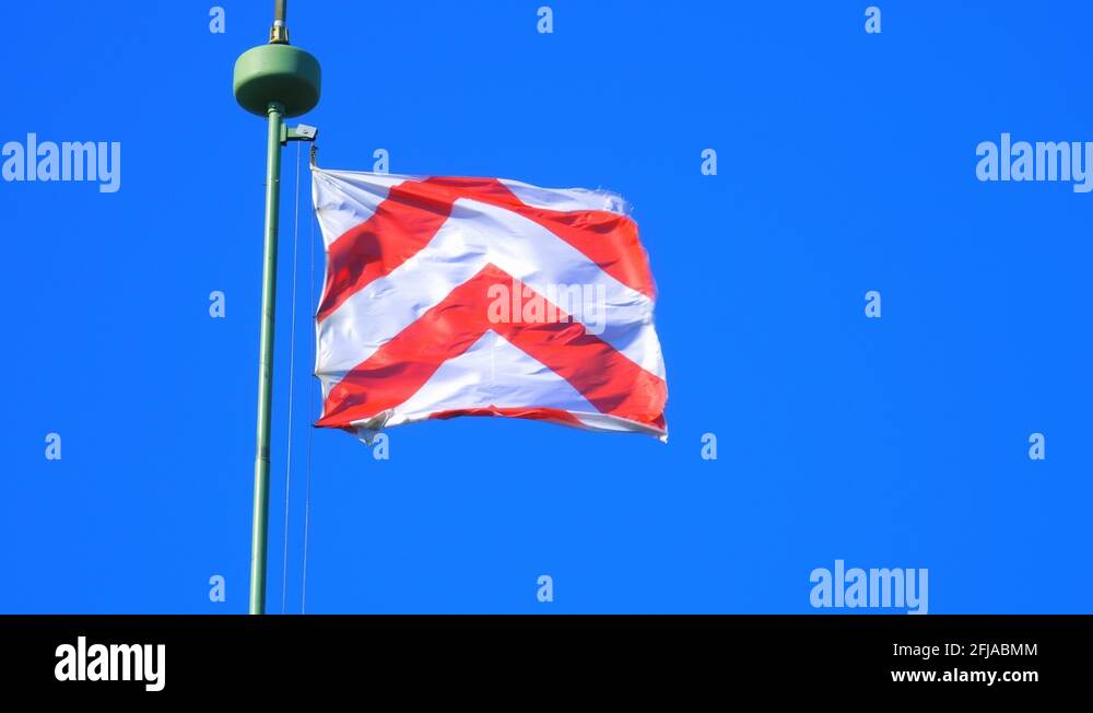 White westfalia Stock Videos & Footage - HD and 4K Video Clips - Alamy