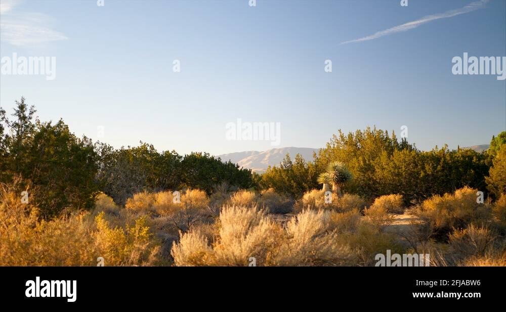 Slow slide right looking out on a California high desert landscape with ...