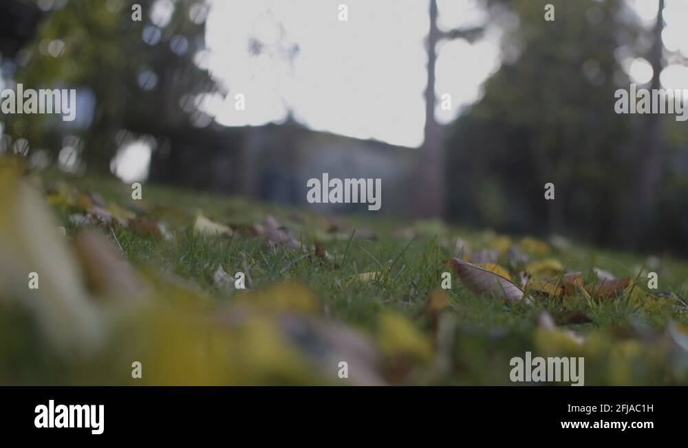 Cold october sunshine Stock Videos & Footage - HD and 4K Video Clips ...