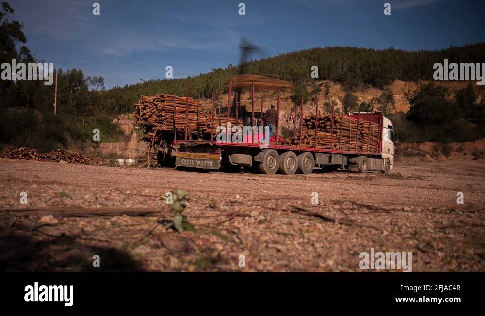 Loaded timber lorry Stock Videos & Footage - HD and 4K Video Clips - Alamy