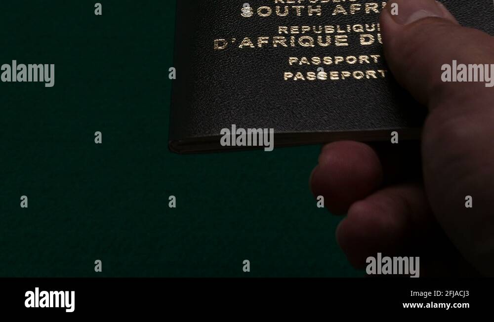 Customs emigration Stock Videos & Footage - HD and 4K Video Clips - Alamy