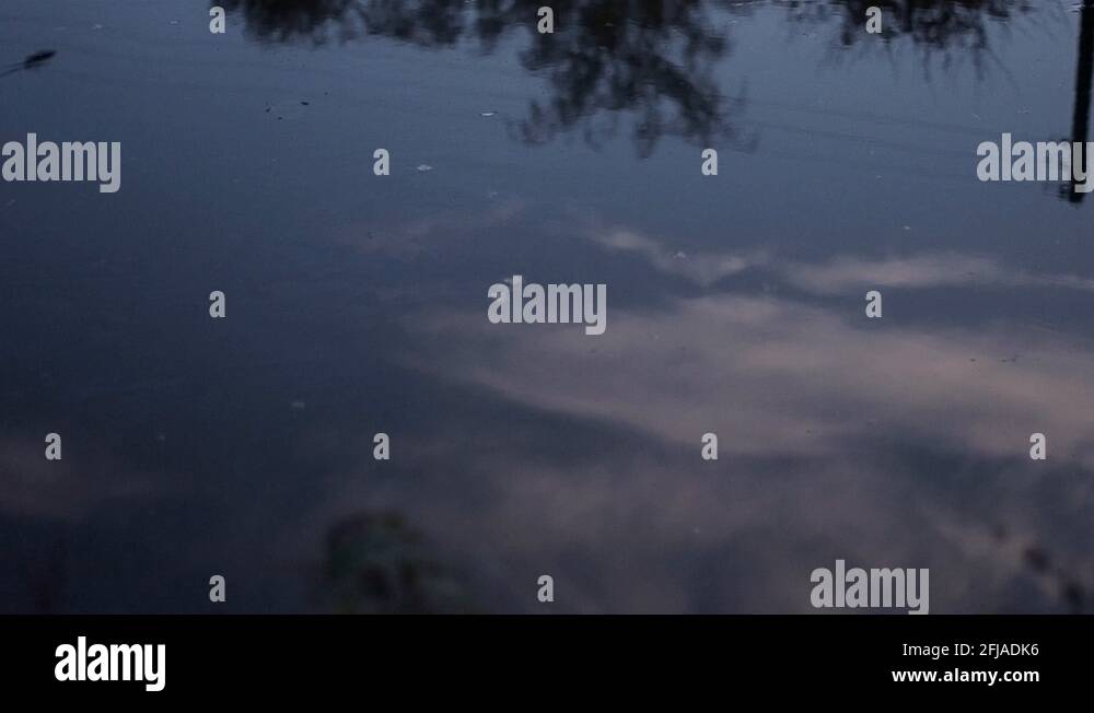 Pebble water ripples Stock Videos & Footage - HD and 4K Video Clips - Alamy