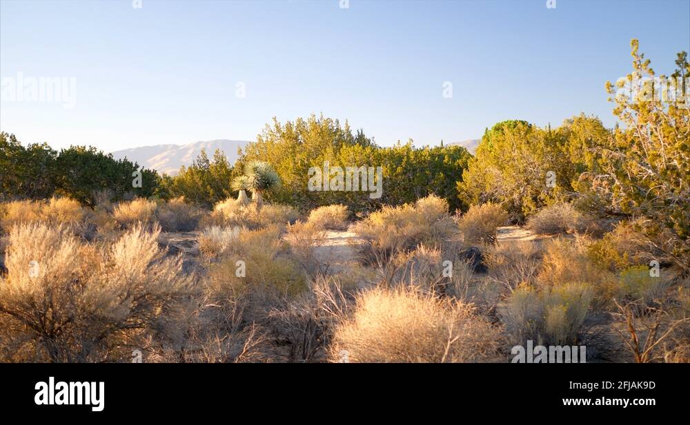 California desert landscape Stock Videos & Footage - HD and 4K Video ...