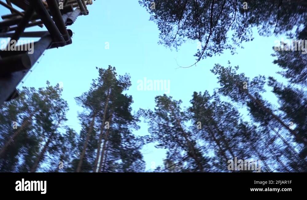 Wildlife watchtower Stock Videos & Footage - HD and 4K Video Clips - Alamy