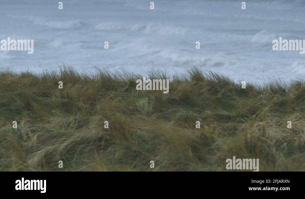 Gale force wind uk Stock Videos & Footage - HD and 4K Video Clips - Alamy