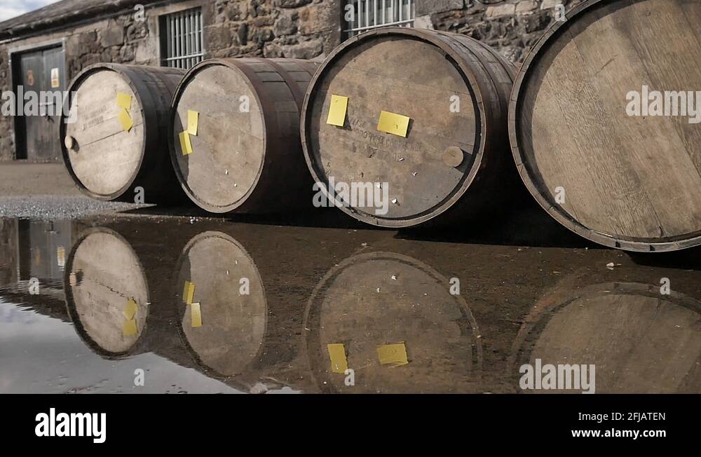 Aging whiskey Stock Videos & Footage - HD and 4K Video Clips - Alamy