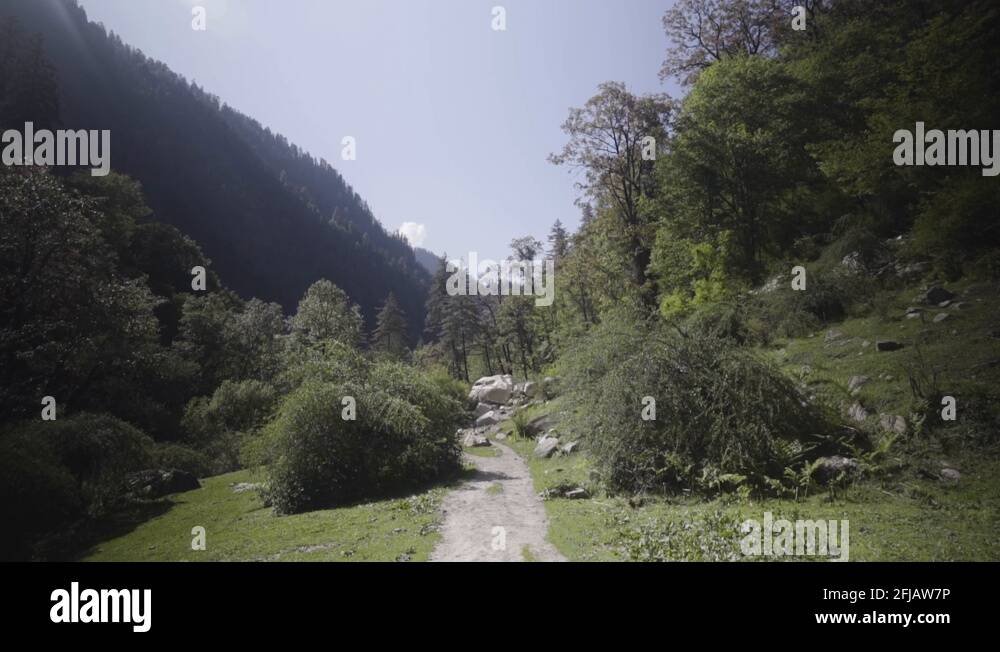 Indian forest trekking Stock Videos & Footage - HD and 4K Video Clips ...