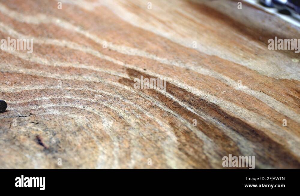 Rustic nails Stock Videos & Footage - HD and 4K Video Clips - Alamy