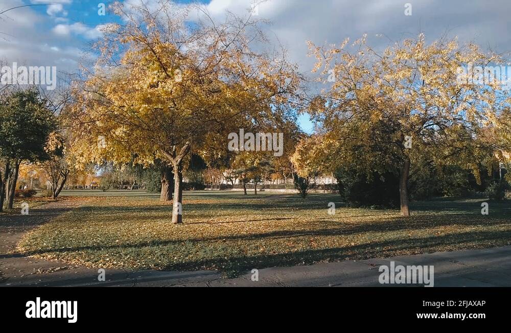 Park rest areas Stock Videos & Footage - HD and 4K Video Clips - Alamy