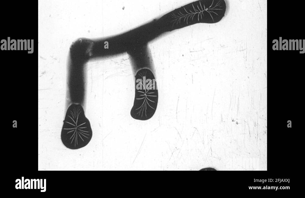 1960s: Puppet man falls down stairs. Brochure for first-aid. First-aid ...