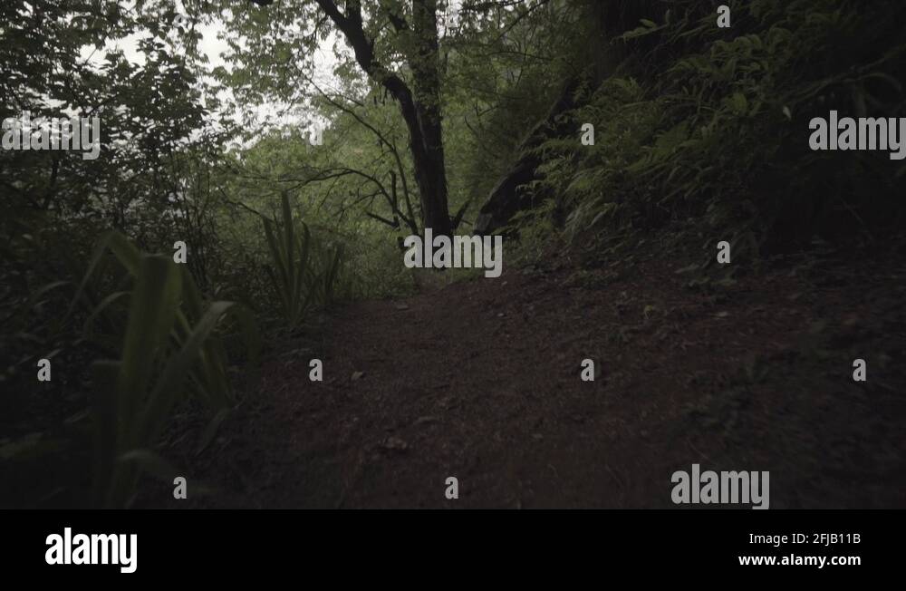 Scary nature Stock Videos & Footage - HD and 4K Video Clips - Alamy