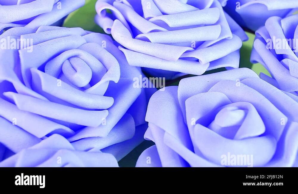 Rose texture Stock Videos & Footage - HD and 4K Video Clips - Alamy
