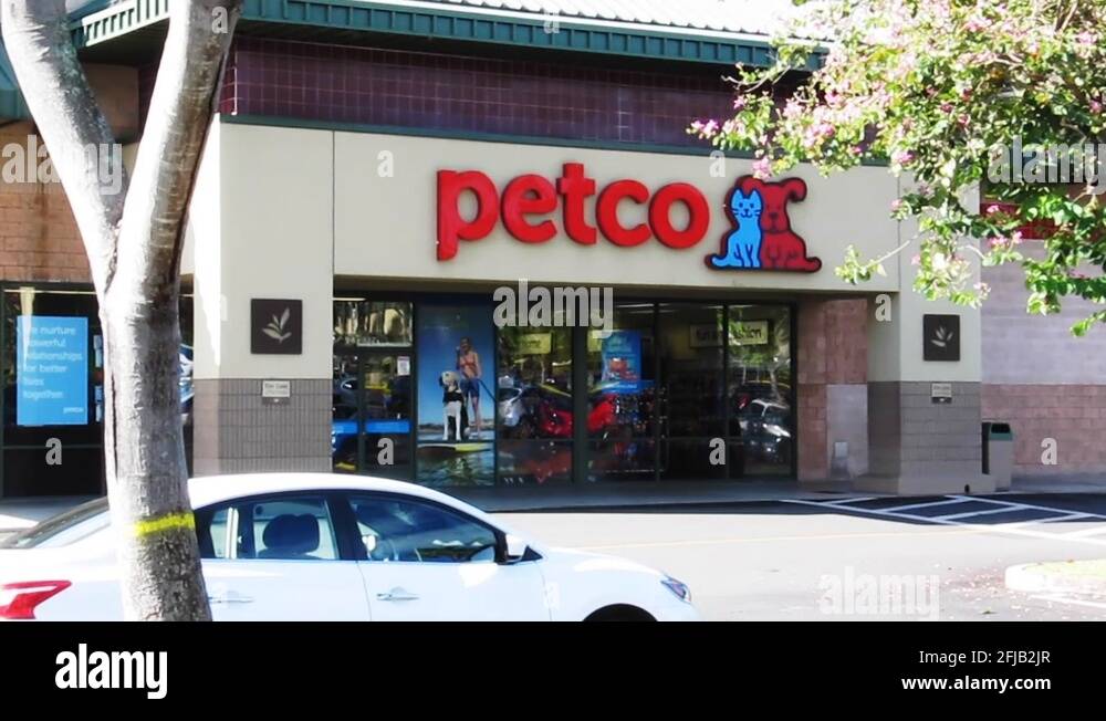 Petco bird Stock Videos & Footage - HD and 4K Video Clips - Alamy