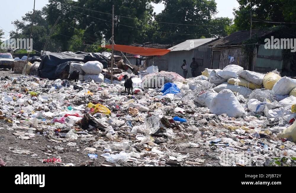 Poor waste disposal Stock Videos & Footage - HD and 4K Video Clips - Alamy