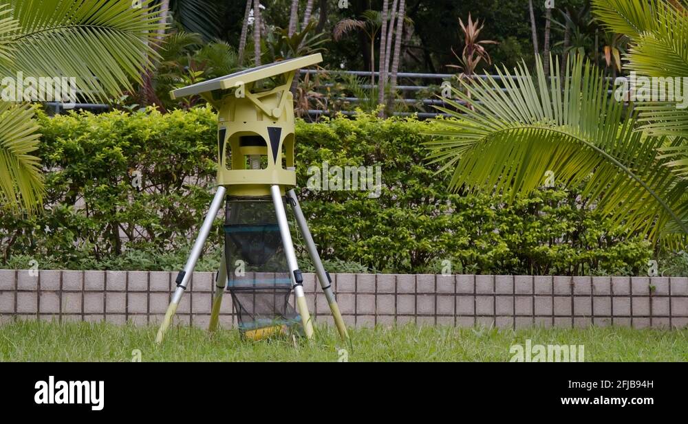 Mosquito catcher Stock Videos & Footage - HD and 4K Video Clips - Alamy