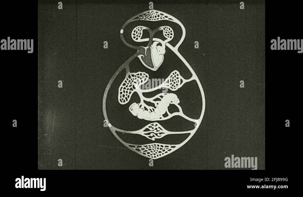 Id label Stock Videos & Footage - HD and 4K Video Clips - Alamy