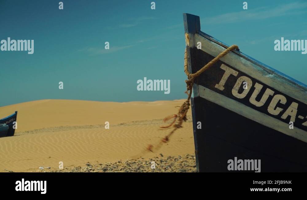 Grounded in nature Stock Videos & Footage - HD and 4K Video Clips - Alamy