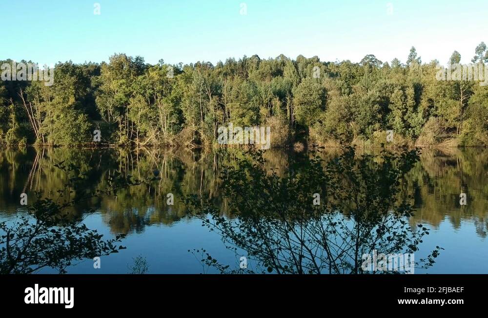 Waterreflection nature landscape Stock Videos & Footage - HD and 4K ...