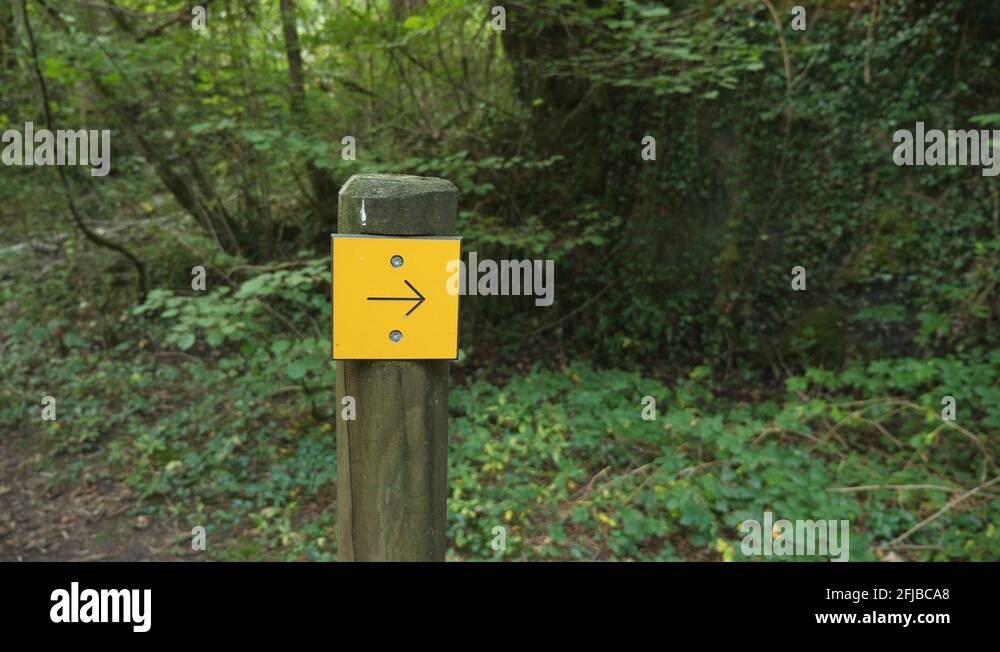 Path direction arrow Stock Videos & Footage - HD and 4K Video Clips - Alamy