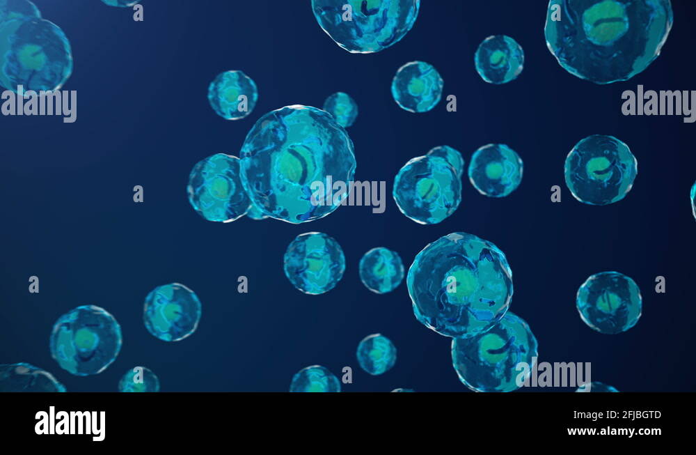 Cells, bacteria abstract background. Cells under microscope. Human ...