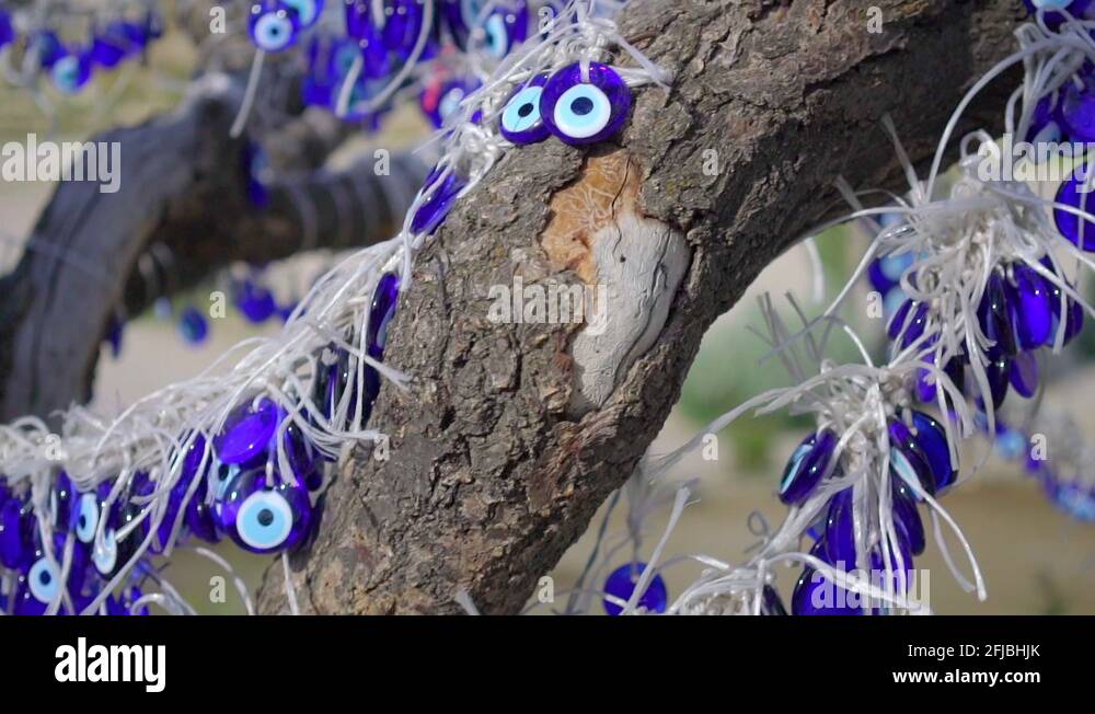 Evil eye tree turkey Stock Videos & Footage - HD and 4K Video Clips - Alamy