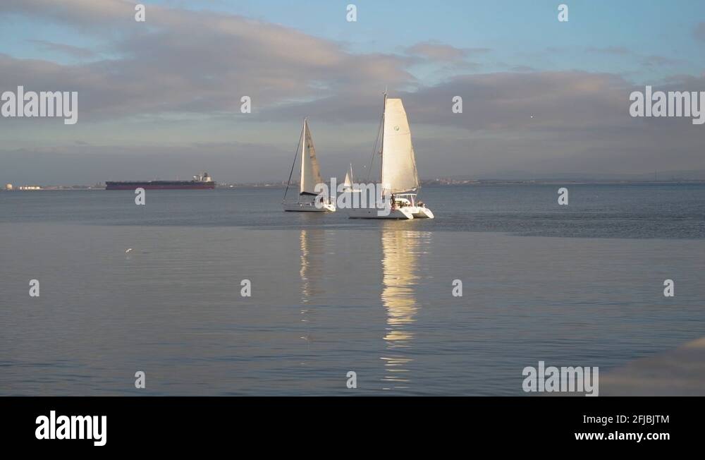 Catamaran river boat Stock Videos & Footage - HD and 4K Video Clips - Alamy