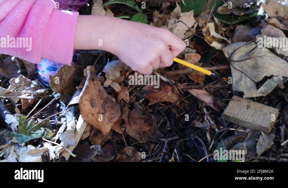 Kids playing outside in nature Stock Videos & Footage - HD and 4K Video ...