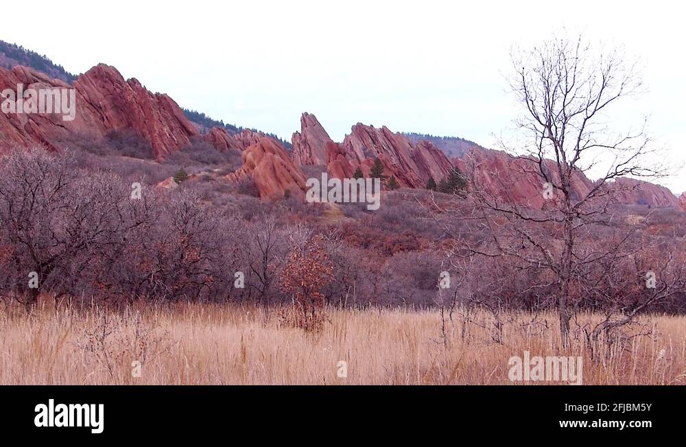 Fountain formation Stock Videos & Footage - HD and 4K Video Clips - Alamy