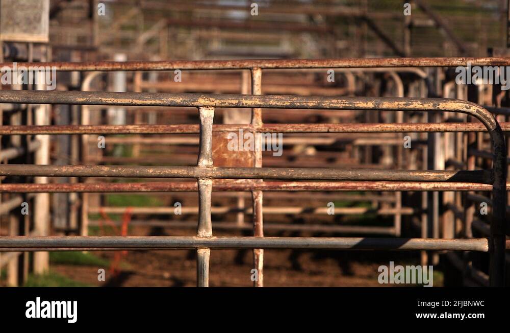 Steel farm gates Stock Videos & Footage - HD and 4K Video Clips - Alamy