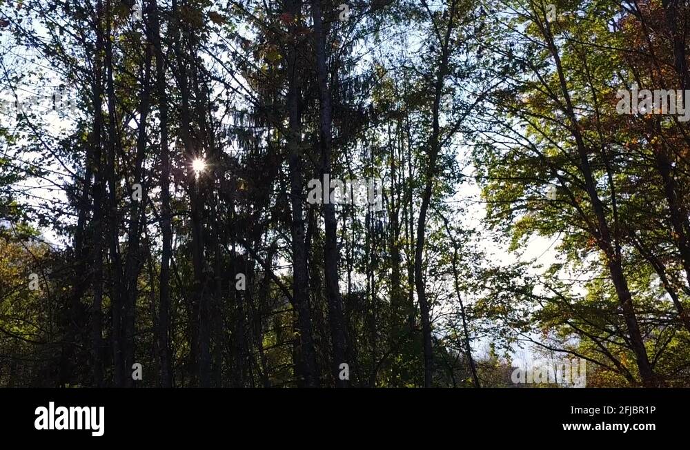 Berghof obersalzberg germany Stock Videos & Footage - HD and 4K Video ...