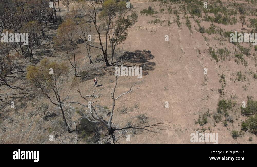 Distant harmony Stock Videos & Footage - HD and 4K Video Clips - Alamy