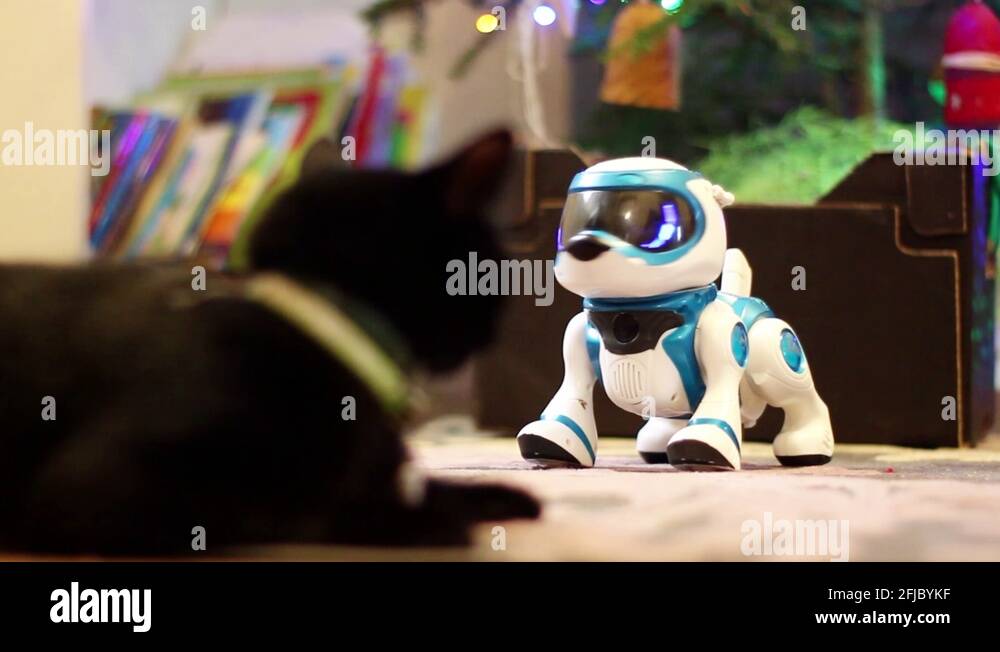 Reaction to the robot Stock Videos & Footage - HD and 4K Video Clips ...