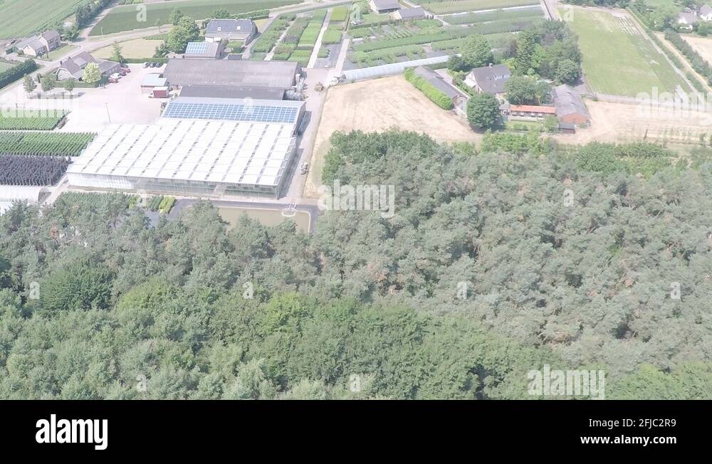 Plant nursery fields Stock Videos & Footage - HD and 4K Video Clips - Alamy