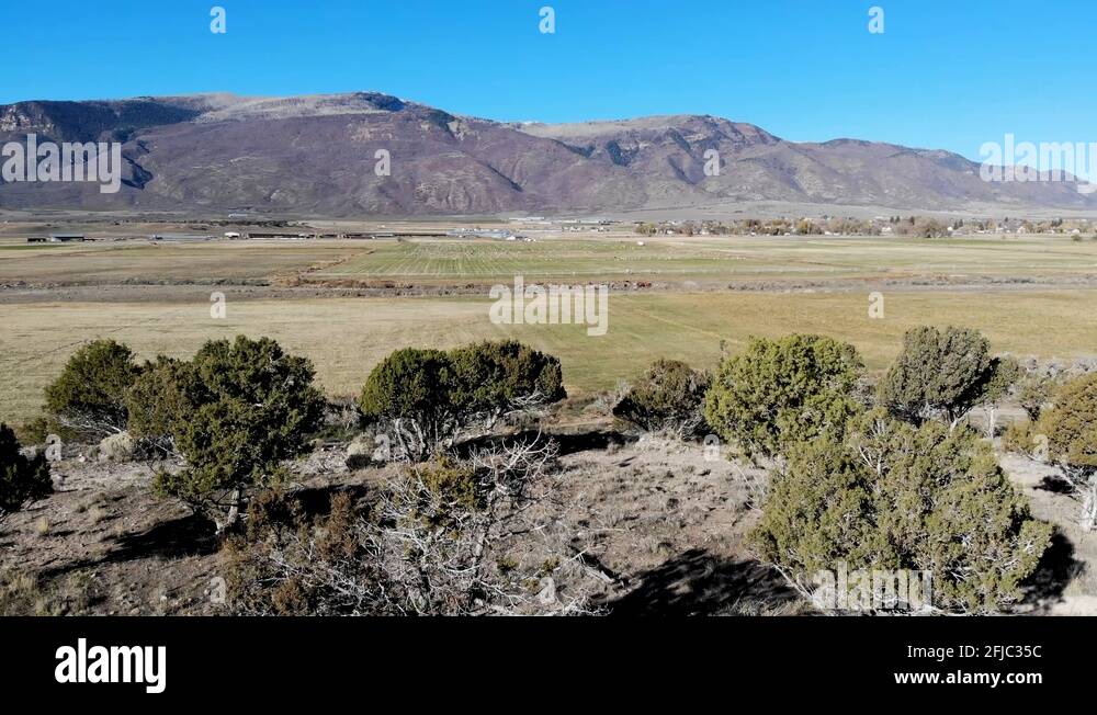 Juniper hills Stock Videos & Footage - HD and 4K Video Clips - Alamy
