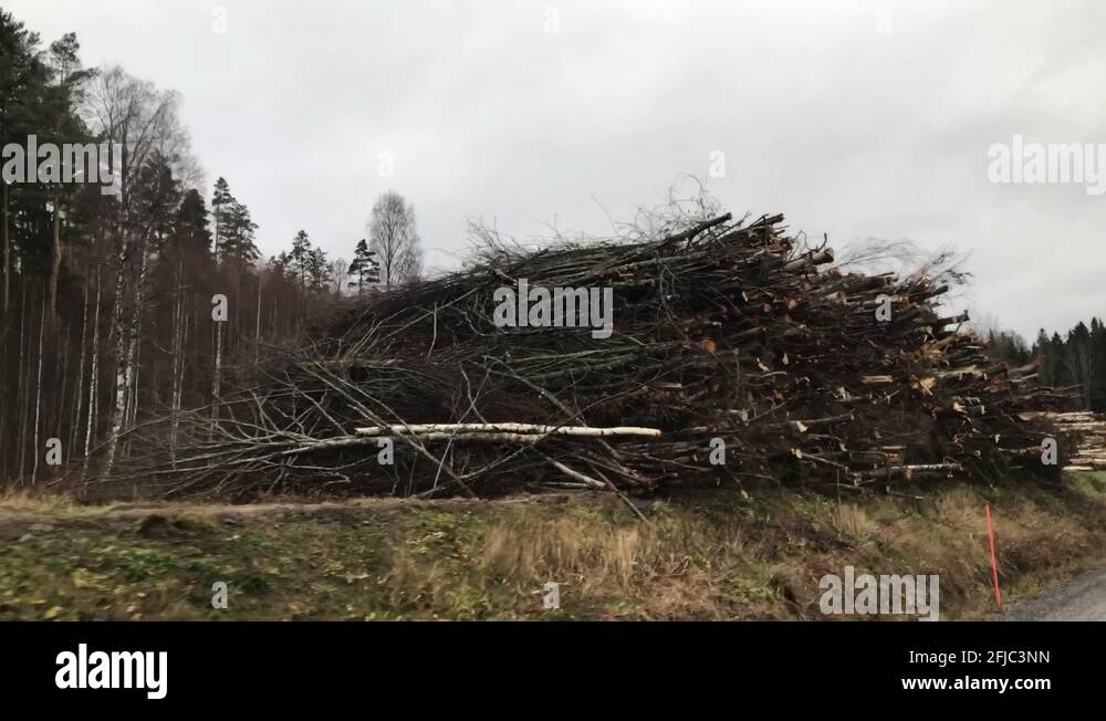 Pile log logs forestry industrial Stock Videos & Footage - HD and 4K ...