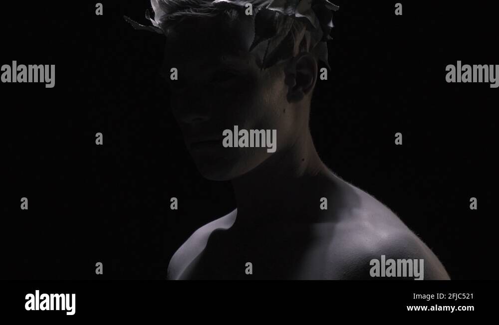 Renaissance laurel wreath Stock Videos & Footage - HD and 4K Video ...