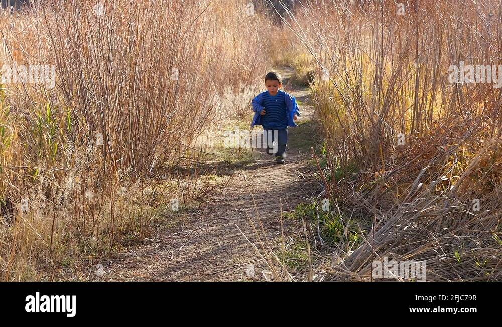 Boy walking along path in Stock Videos & Footage - HD and 4K Video ...
