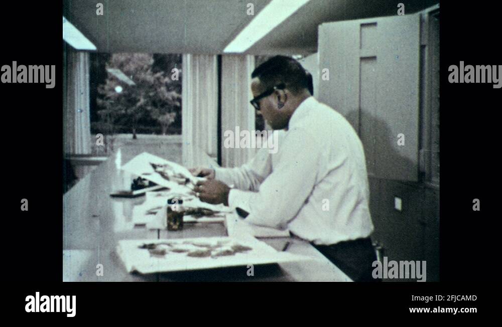 Herbarium specimen Stock Videos & Footage - HD and 4K Video Clips - Alamy