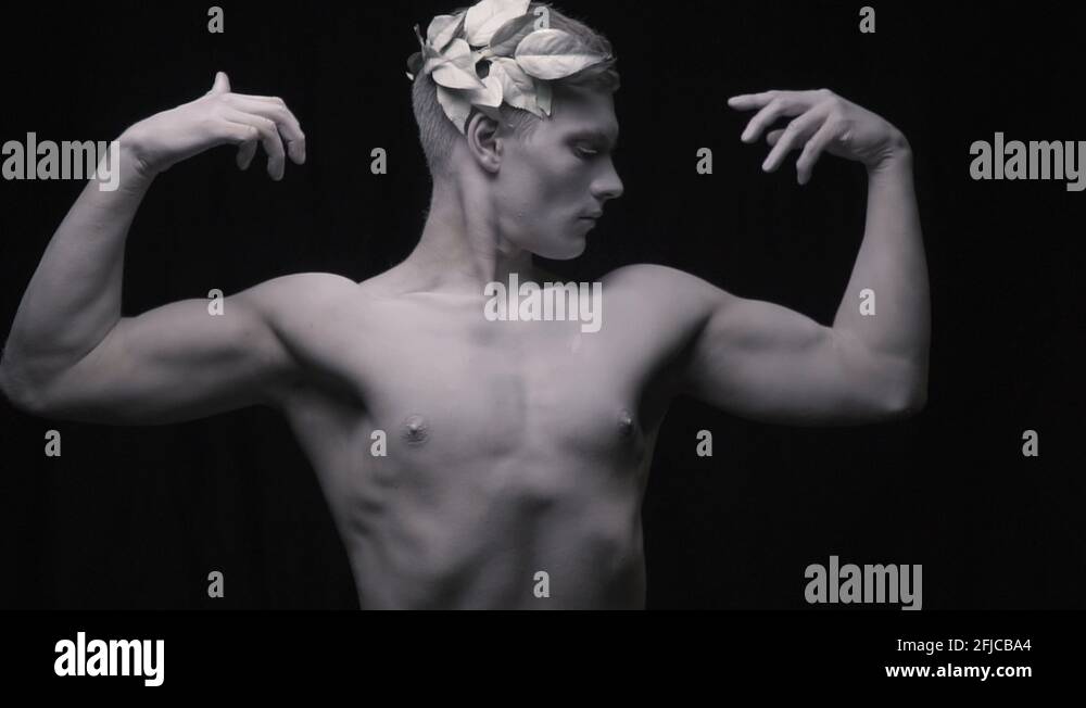 Roman statue of apollo Stock Videos & Footage - HD and 4K Video Clips ...