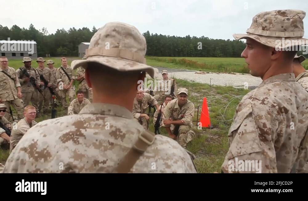 Checkpoint security Stock Videos & Footage - HD and 4K Video Clips - Alamy