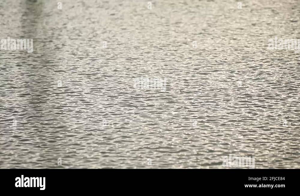 Rain drops splashing water surface of puddle on the wet floor, abstract ...