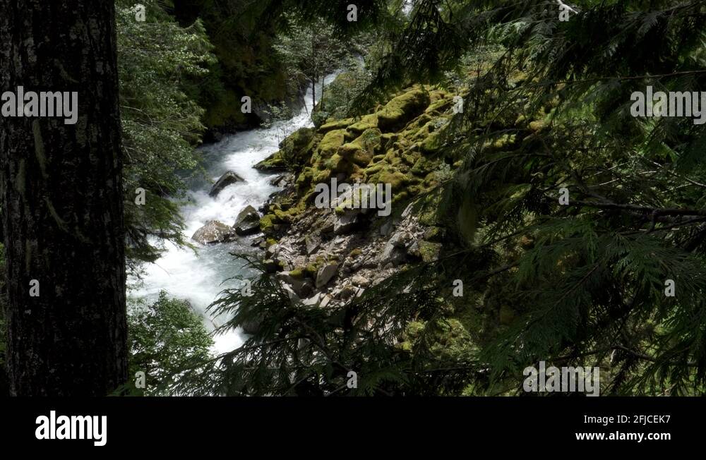 North fork nooksack river valley Stock Videos & Footage - HD and 4K ...