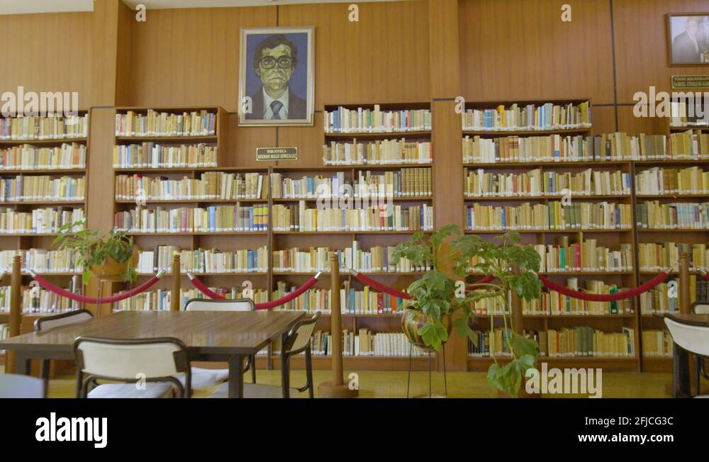 College collage library Stock Videos & Footage - HD and 4K Video Clips ...