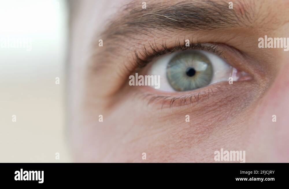 Blue eyebrow Stock Videos & Footage - HD and 4K Video Clips - Alamy