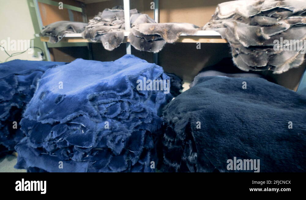 Animal skin clothing Stock Videos & Footage - HD and 4K Video Clips - Alamy