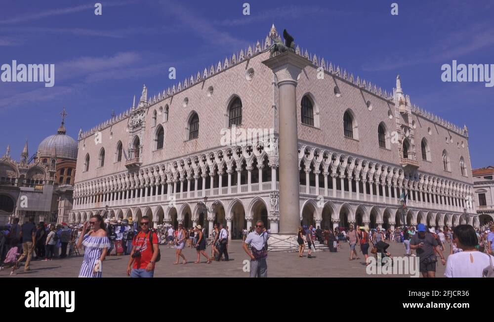 Doge square Stock Videos & Footage - HD and 4K Video Clips - Alamy